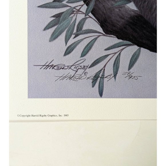 Harold Rigsby | Art | Koala Ii Harold Rigsby Limited Edition Fine Art ...